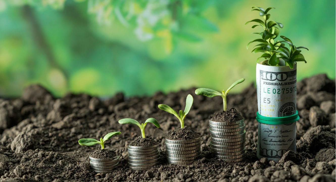 Home › City National Bank