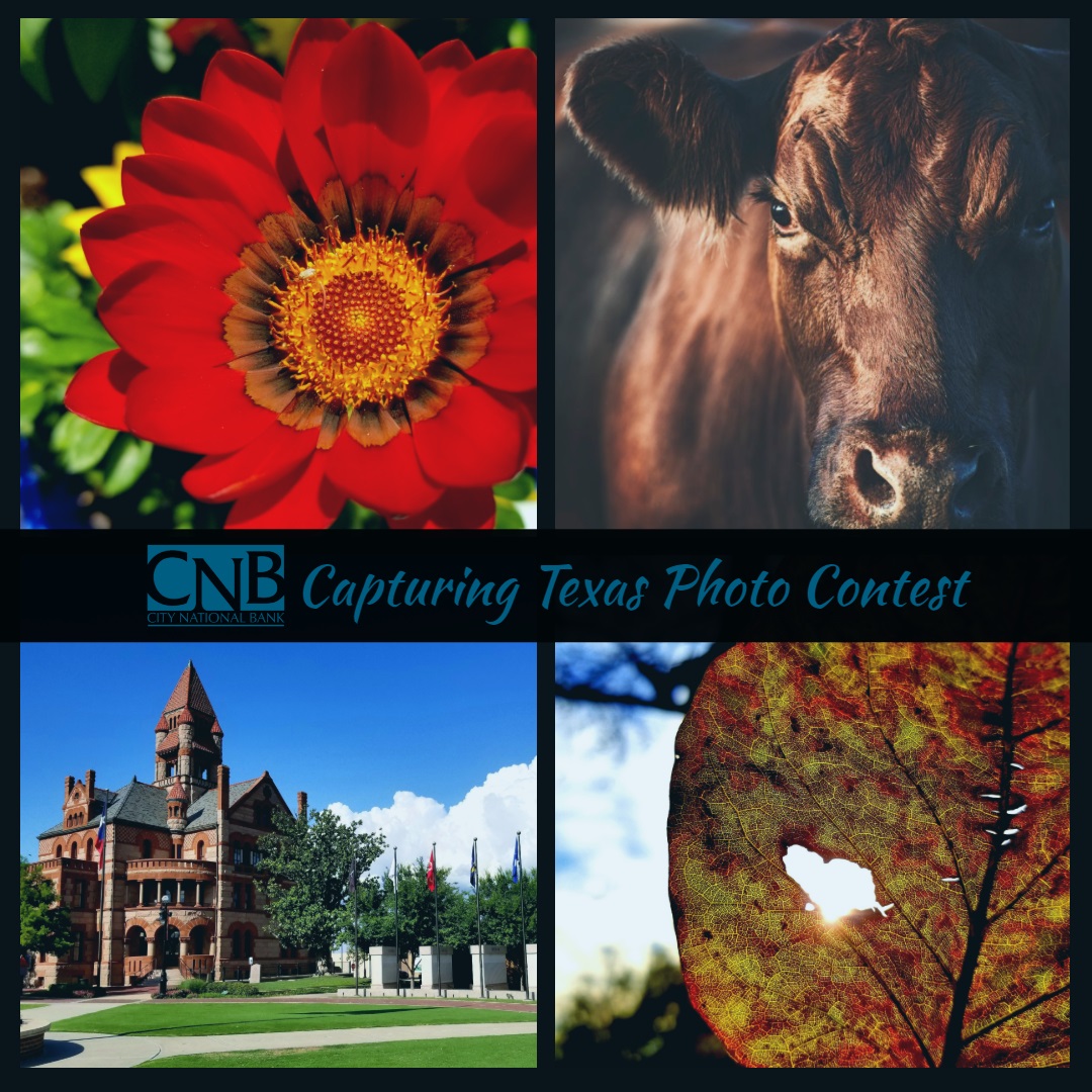 CNB Photo Contest - Annual CNB Calendar › City National Bank